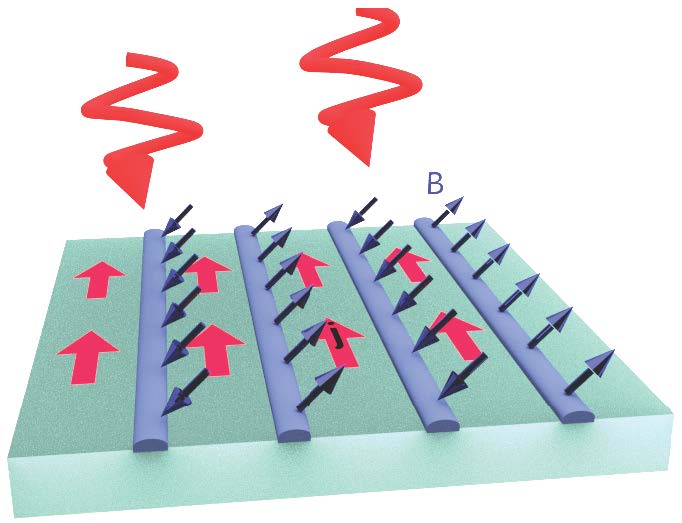 photoj-alt - Prof. Netanel Lindner