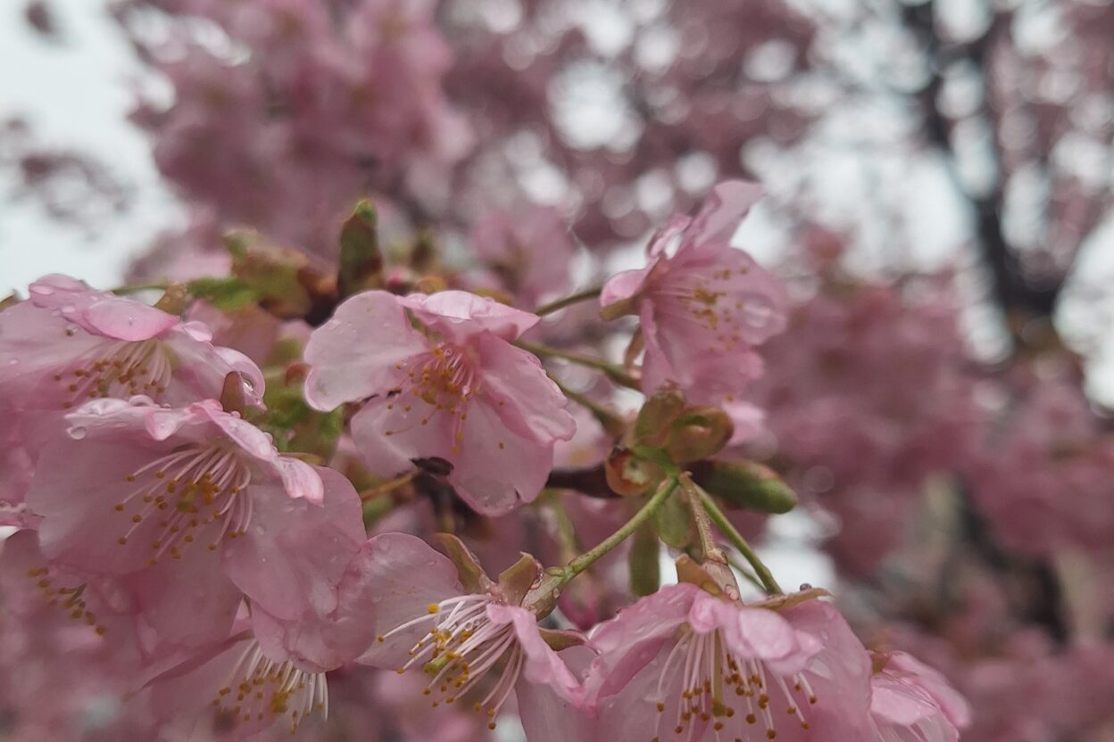 Retreat 2024 Participants - Physics Department Retreat